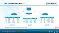 Decision Tree Algorithm & Analysis - Eloquens