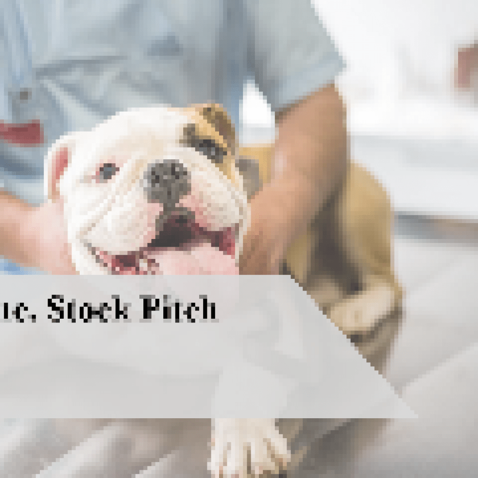 Zoetis Inc. (NYSE:ZTS) Stock Pitch Template (Slide Deck and Model ...