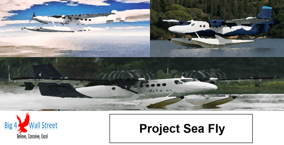 Start Up Seaplanes Operator Financial Model - Eloquens