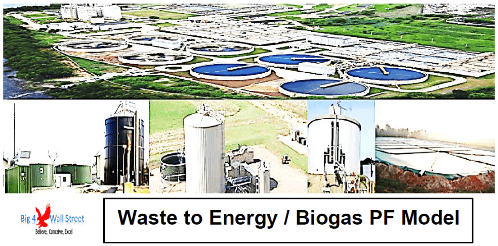 Waste to Energy / Biogas Project Finance Model - Eloquens