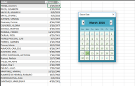 5 Premium Date Pickers for Microsoft Excel! 🗓️ - Eloquens
