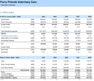 Veterinary Clinic Financial Model and Budget Control Template - Eloquens