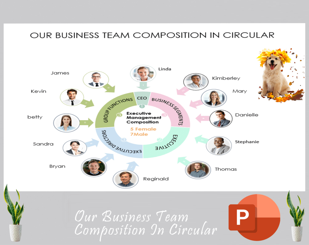 Our Business Team Composition In circular - Eloquens