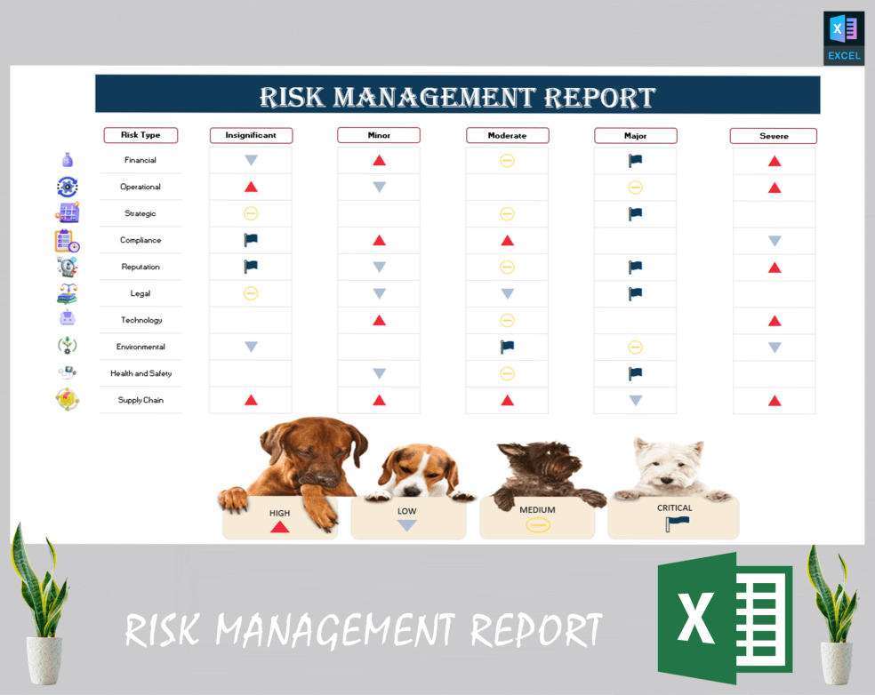 Risk management report - Eloquens