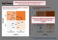Bain's Business Transformation Matrix Template - Eloquens