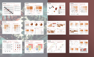 MBB (McKinsey, BCG, Bain) Models and Frameworks Bundle - Eloquens