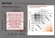 McKinsey's Growth Pyramid Model and Matrix Template - Eloquens