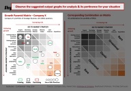 McKinsey's Growth Pyramid Model and Matrix Template - Eloquens