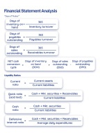 Financial Statement Analysis - Eloquens