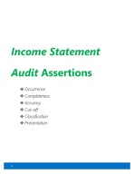 AUSIT ASSERTIONS - Eloquens