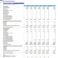 Adjusted Net Working Capital Template - Eloquens