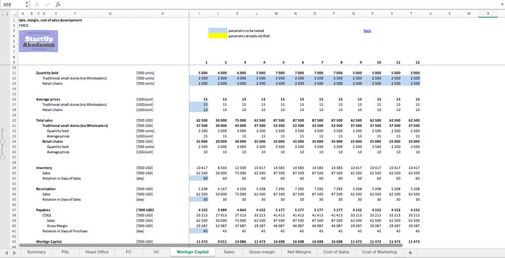 FMCG (Fast Moving Customer Goods) Business Model in Excel - Management ...