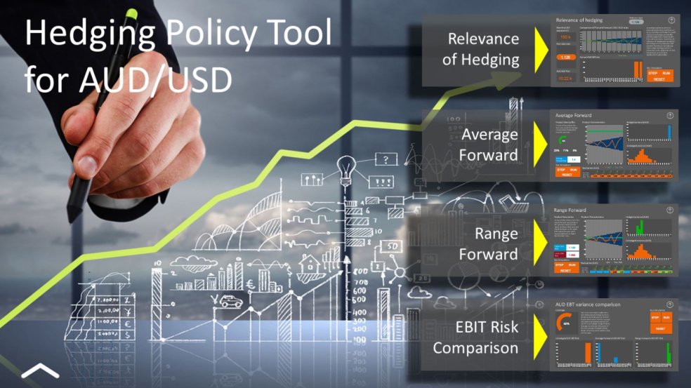 Hedging Policy Tool & Simulation - Eloquens