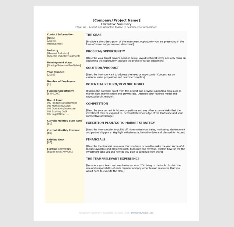 Startup Executive Summary Template - Eloquens