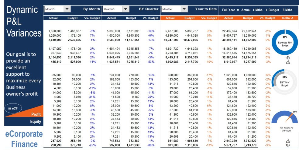 Dynamic Profit and Loss Comparison - Eloquens