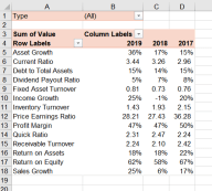 Financial Ratios Analysis Excel Dashboard - Eloquens