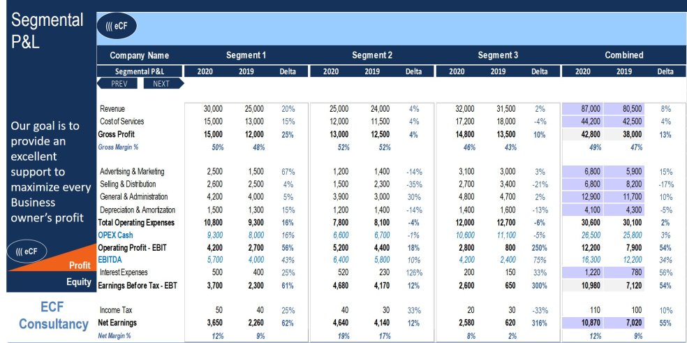 Segmental P&L (Profit & Loss) - Eloquens