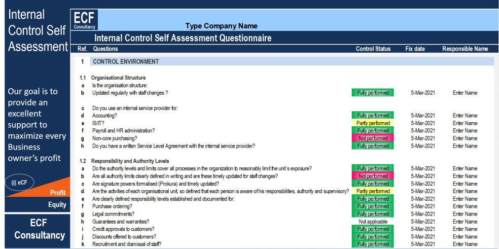 Internal Control Self-Assessment - Eloquens