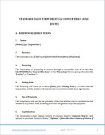 Convertible Loan Term Sheet - Eloquens