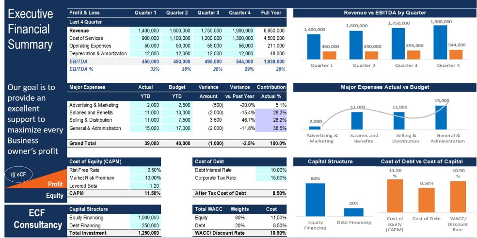 Executive Financial Summary Excel with Power Point Template - Eloquens