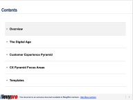 Customer Experience (CX) Pyramid - Eloquens